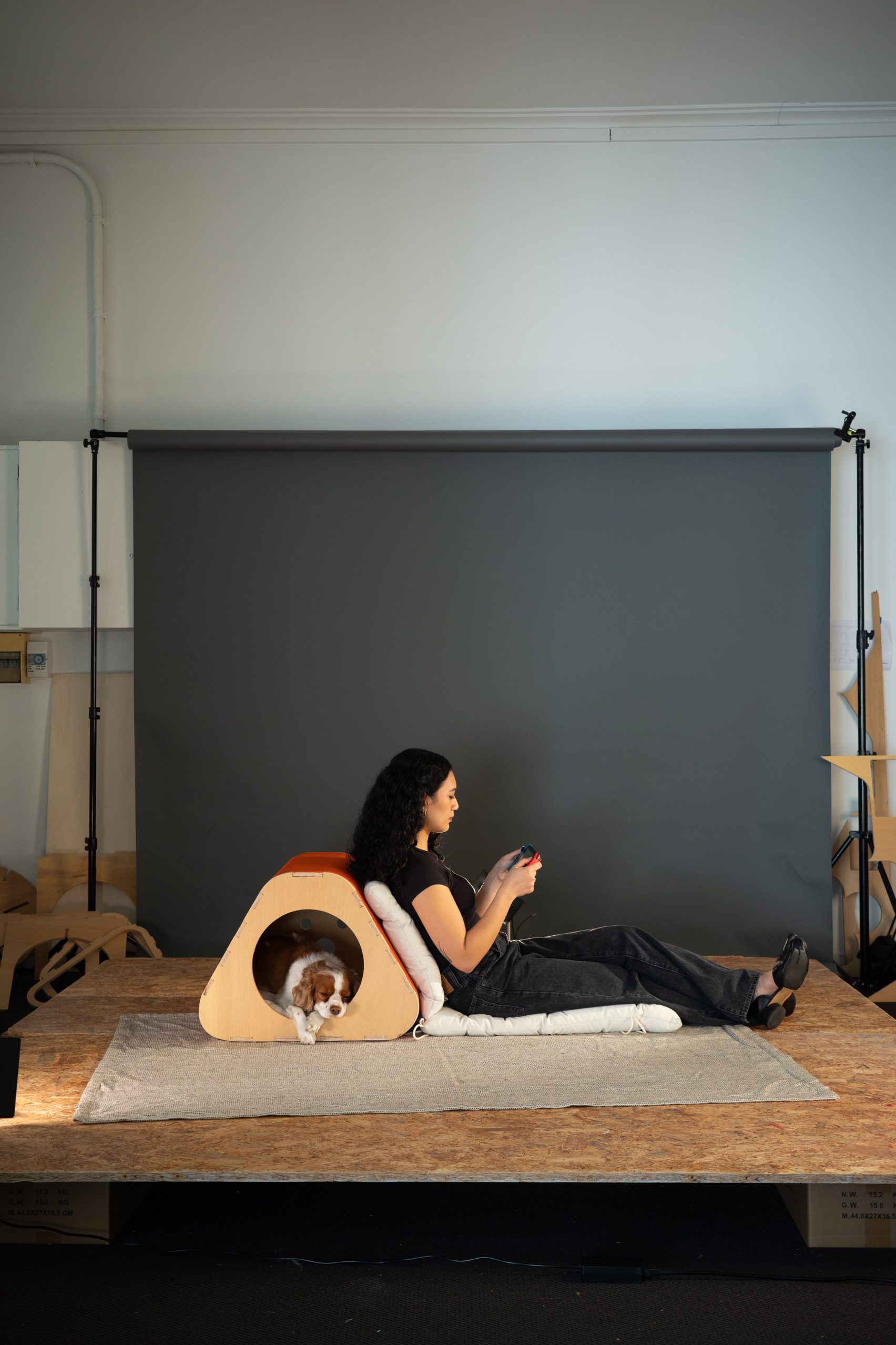 Multifunctional pet furniture designed for animals in small apartments ...