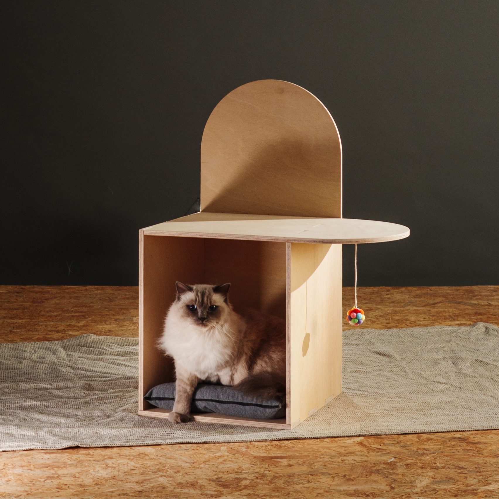Multifunctional pet furniture designed for animals in small apartments ...
